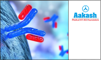 Protein: Structure, Types, Denaturation & Function | AESL